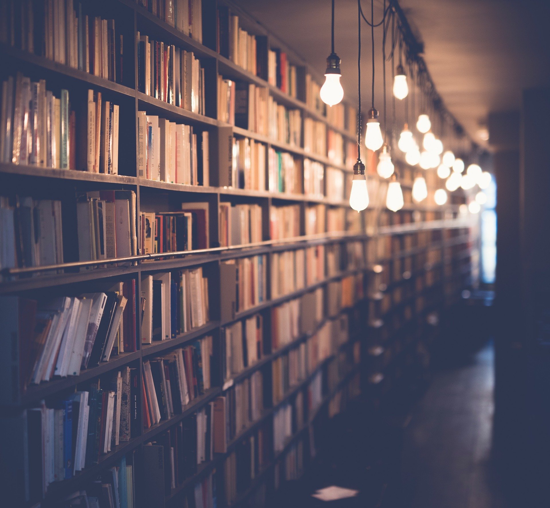 Reading good literature to restore civic virtue