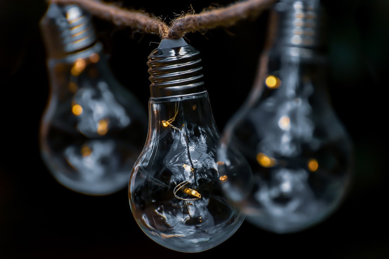 ‘Net zero’ goal forces Brits to pay France to take British power